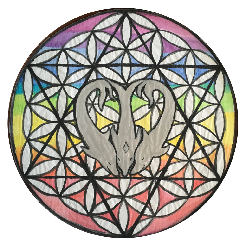 Blog The Dolphin Dream
